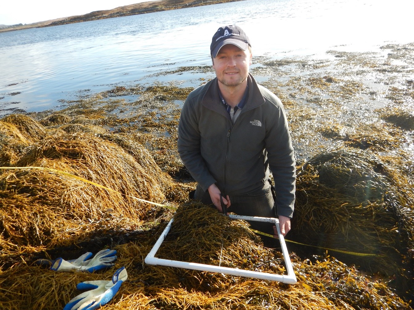 Micheál Mac Monagail's Seaweed Research Papers Advance Arramara